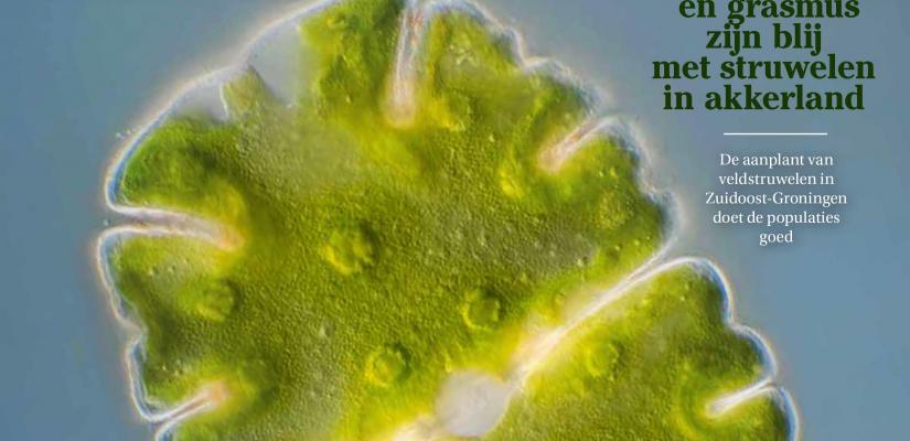 De Levende Natuur nummer 2 van 2022 (Digitaal magazine) | De Levende Natuur