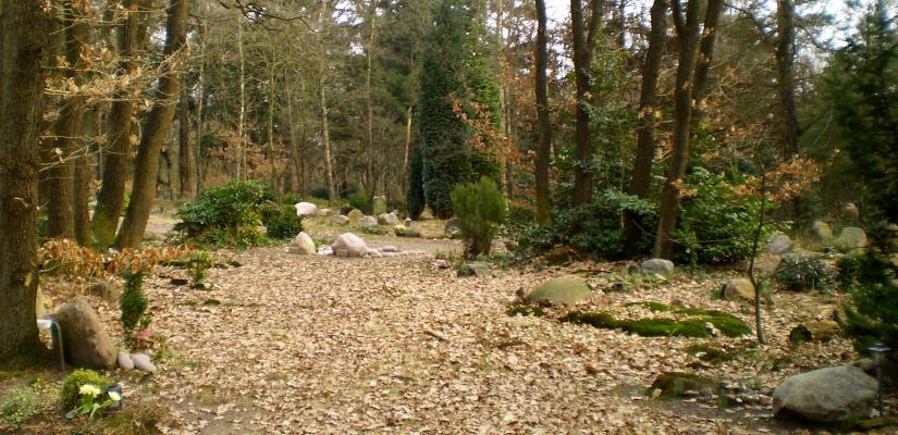 Natuurbegraven: garantie voor eeuwige bescherming of greenwashing van ...