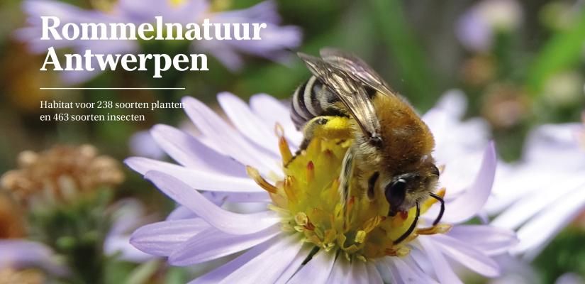 De Levende Natuur nummer 4 van 2023 (English summary) | De Levende Natuur