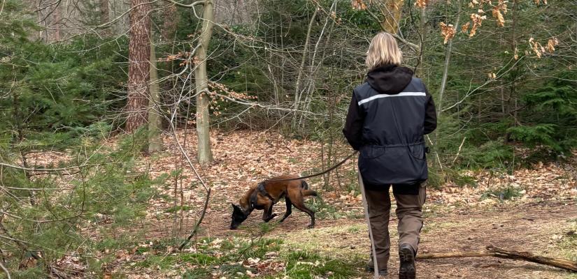 Preview: Werk In Uitvoering - wildcamera's | De Levende Natuur