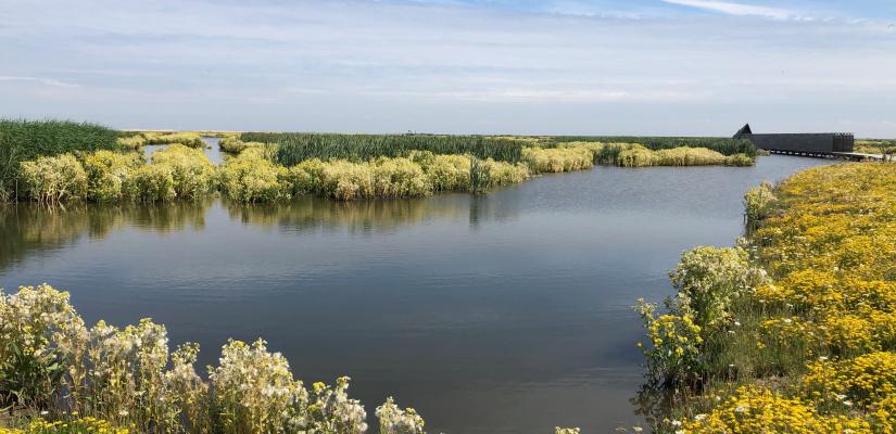 De Levende Natuur - Over natuurbehoud en -beheer sinds 1896
